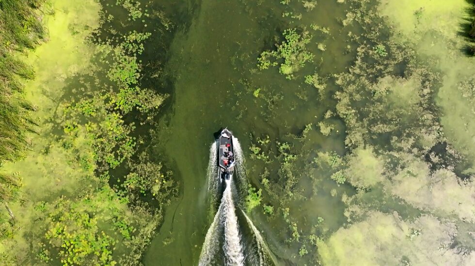 Motors | Freedom Outboard